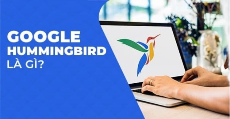 Google HummingBird: Tác động Và Hướng Tối ưu